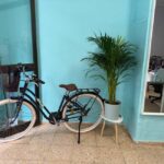 Valencia Volt Bike Rental: 4-Hours Electric Bike Rental - What’s Included and What to Consider