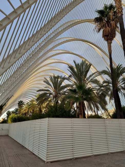 Valencia: Walking tour of the City of Arts and Sciences in Italian - Is It Worth the Price?