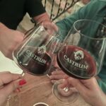 Valpolicella: Gourmet Evening Wine Tasting in Valpolicella - Practical Info: What You Need to Know