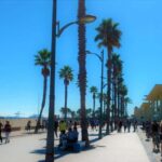 Vegan Bike Tour Albufera/Little Venice w/ Paella & Horchata - The Magic of Port Saplaya, Little Venice