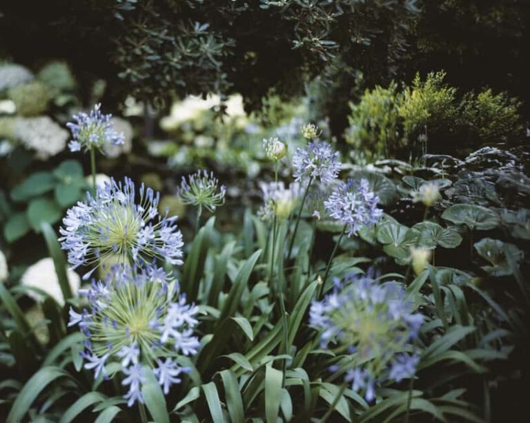 Venice: Convent Garden of Redentore Entry Ticket - The Lagoon-front Café: Perfect for Relaxation