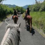 Vergato: Horseback Ride through the Emilian Hills - Final Thoughts