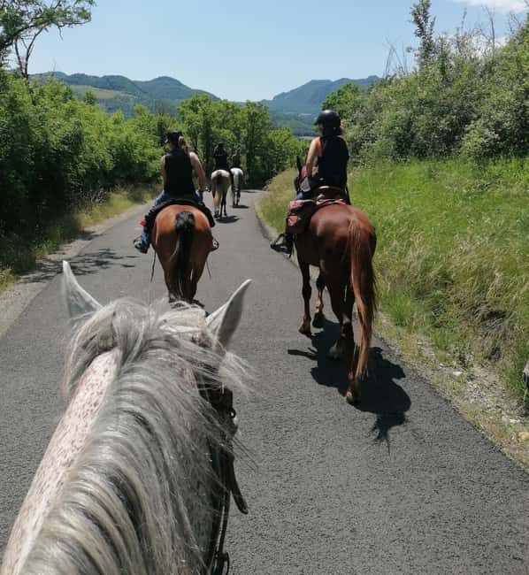 Vergato: Horseback Ride through the Emilian Hills - Final Thoughts