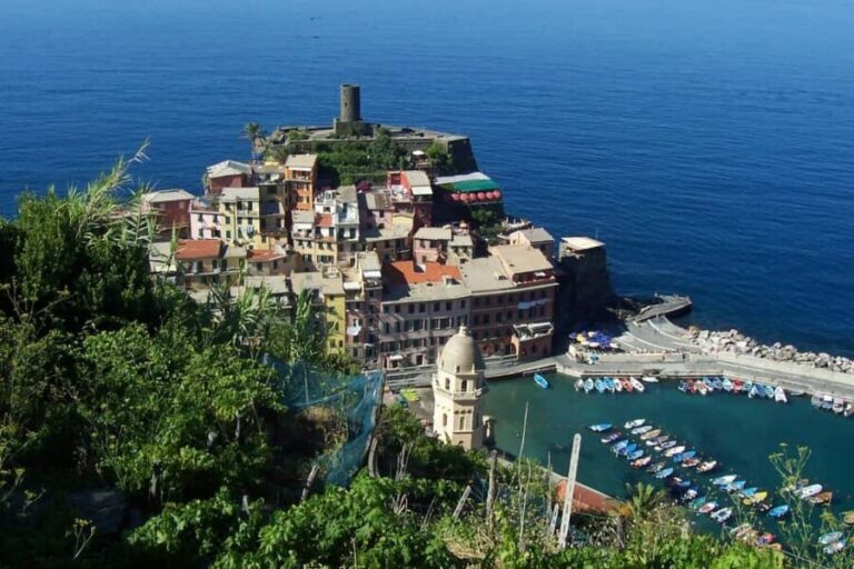 Vernazza (5 Terre): olive grove tour and oil and wine tasting - The Value of This Experience