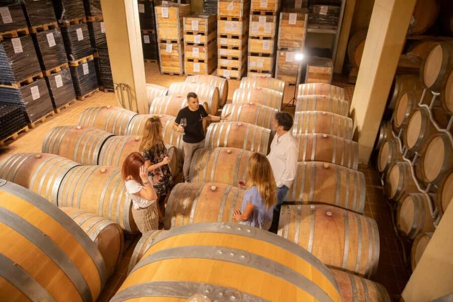 VERONA: WINE TASTING FOR THOSE WHO LOVE COMPARISONS - Authenticity and Guide Expertise