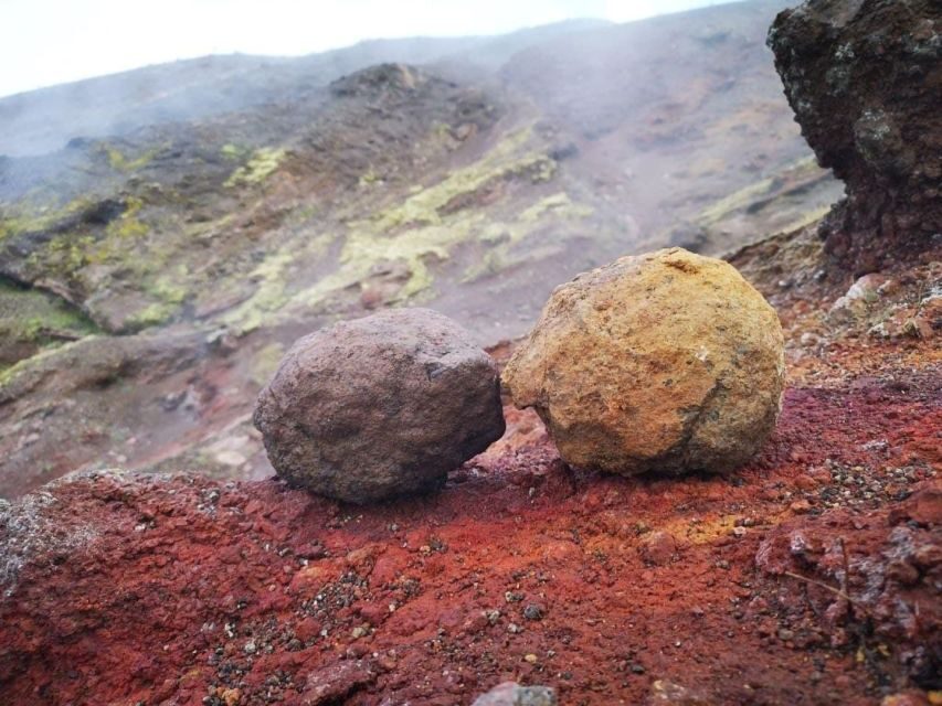Vesuvio Tour with entrance ticket included - About the Tour: A Complete Look