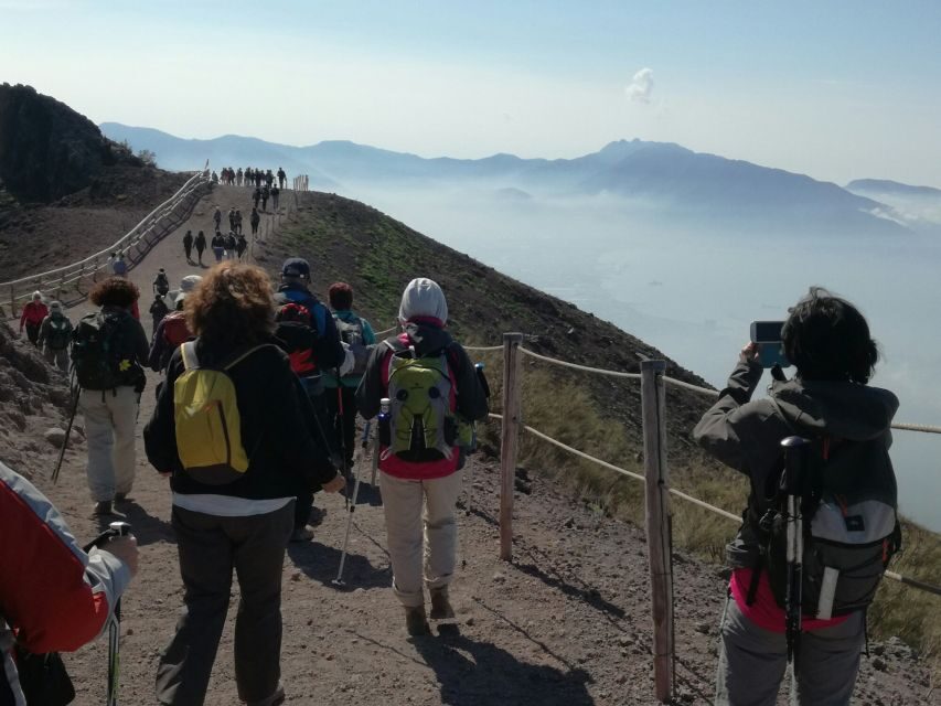 Vesuvius Park Skip-the-Line Ticket + support - Authentic Traveler Feedback