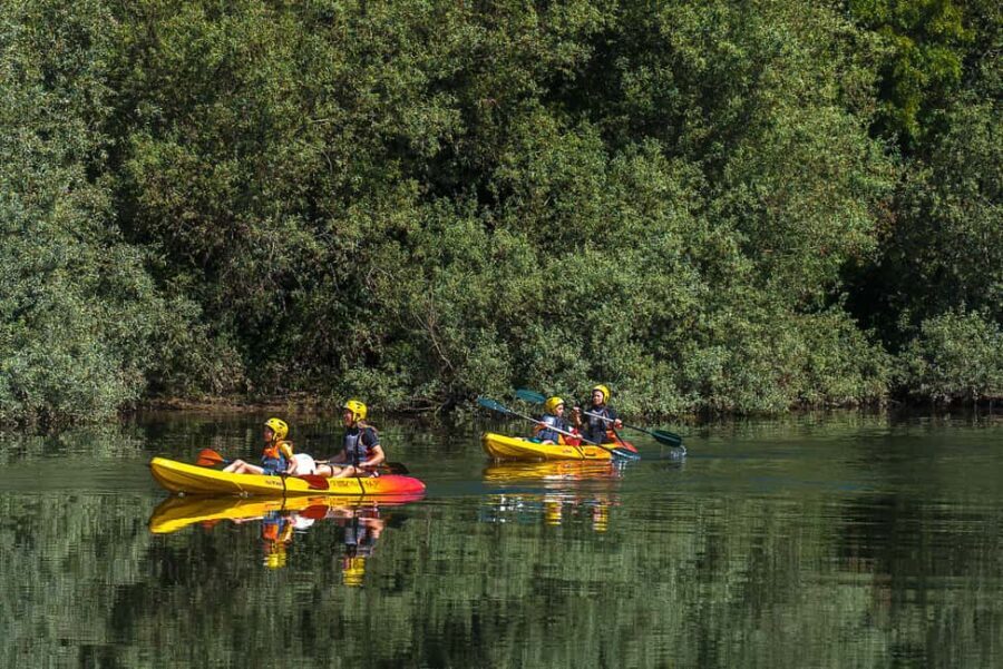 Viana do Castelo: Kayak Adventure on the Lima River - A Close Look at the Experience