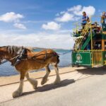 Victor Harbor and Southern Highlights from Adelaide - What We Learn from Reviews: A Mix of Praise and Practical Tips