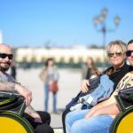 Vienna: Carriage Ride Through Schönbrunn Palace Gardens - What the Ride Encompasses
