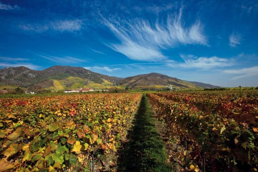 Vienna: eský Krumlov and Wachau Valley Tour - FAQ