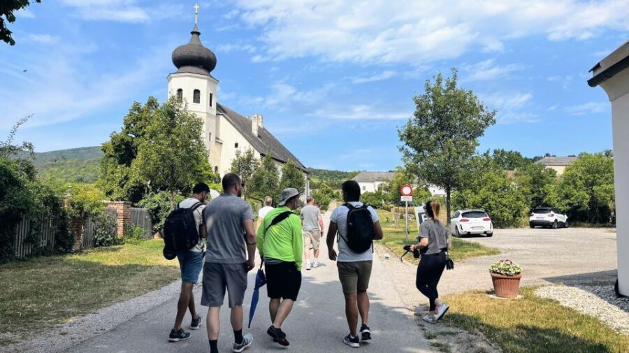 Vienna: Full-Day Vienna Woods Wine Tasting Tour - Authentic Experiences & What Travelers Say