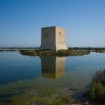 Village Street Market: Santa Pola - What’s Included and What’s Not