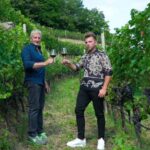 vineyard experience - What to Expect: A Step-by-Step Look