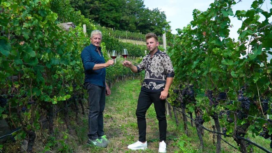 vineyard experience - What to Expect: A Step-by-Step Look