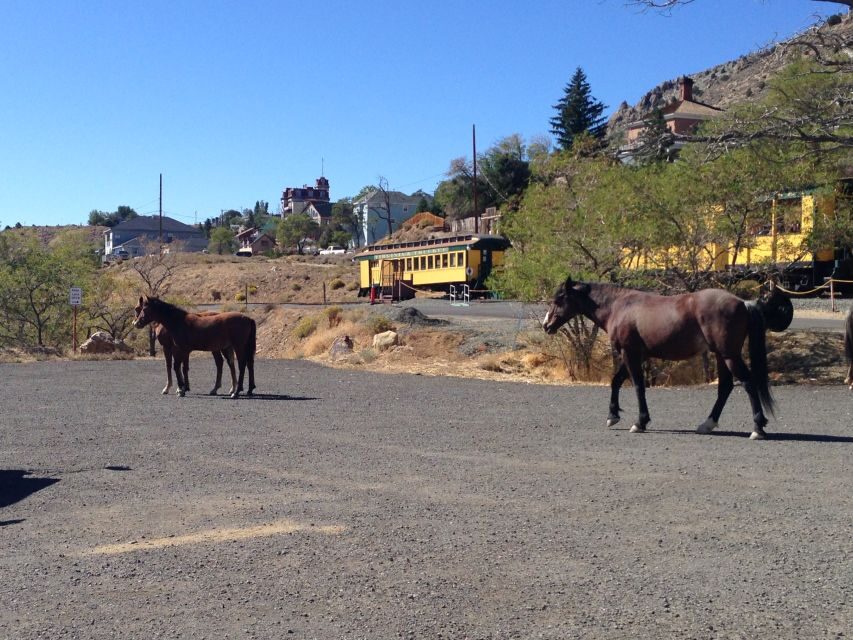 Virginia City Day Tour From Lake Tahoe - Who Will Enjoy This Tour?