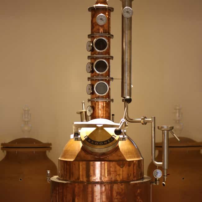 Visit the distillery of Ischia island - What to Expect During Your Visit
