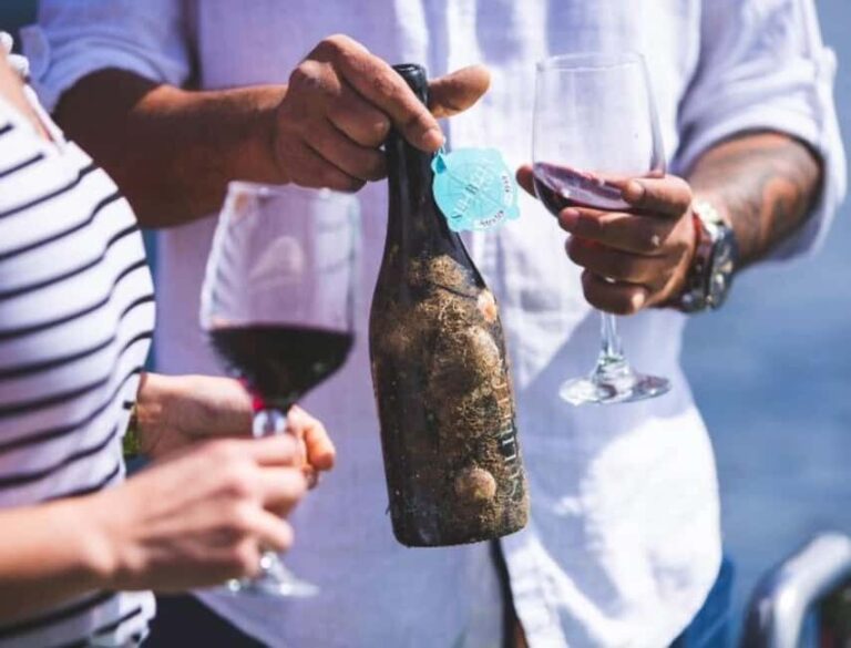 Visit the Underwater Wine Cellar by Boat with Tapas Tasting and Medieval Castle - The Wines and Tapas Pairing
