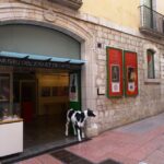 Visita guiada por el Teatro-Museo Dalí - Who Will Love This Tour?