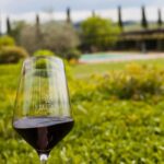 Viticcio tasting experience - What to Expect from the Experience