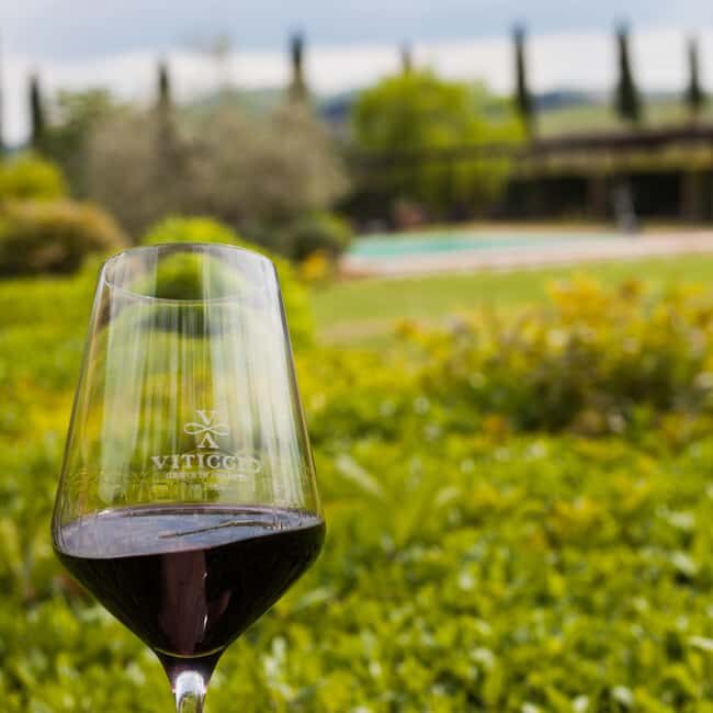 Viticcio tasting experience - What to Expect from the Experience