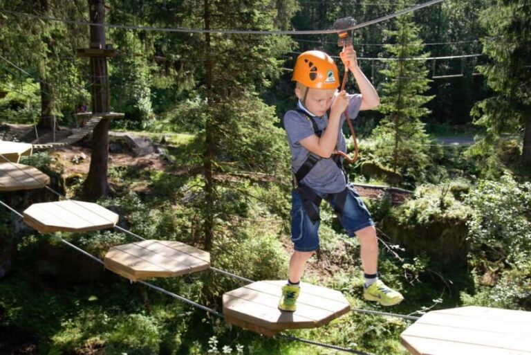 Voss High Rope Course: Mini & Micro Course - What to Expect on the Course