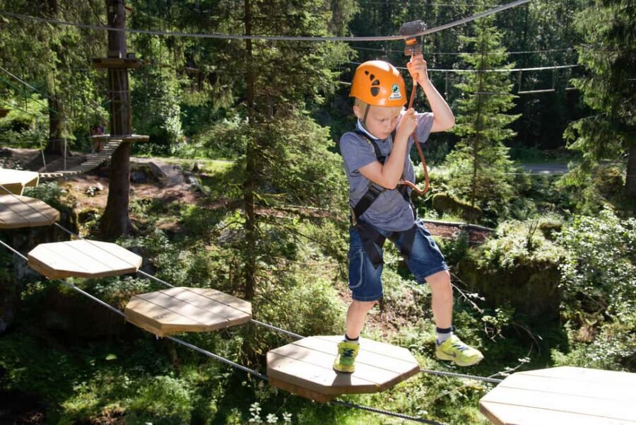 Voss High Rope Course: Mini & Micro Course - What to Expect on the Course