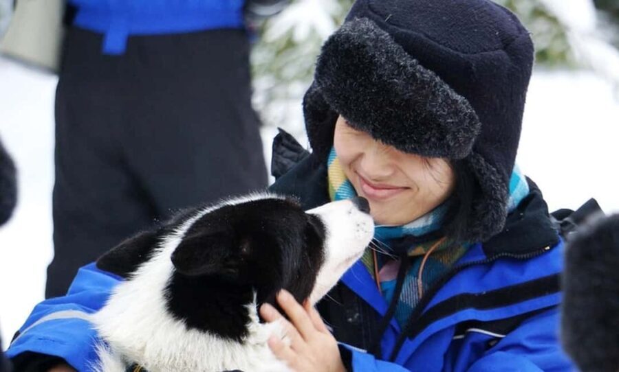 Vuokatti: Husky Sled Ride with Hot Berry Juice & Biscuits - Meeting and Learning About the Huskies