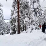Vuokatti: Snowshoeing Adventure in the Forest - Why Choose This Snowshoe Adventure?