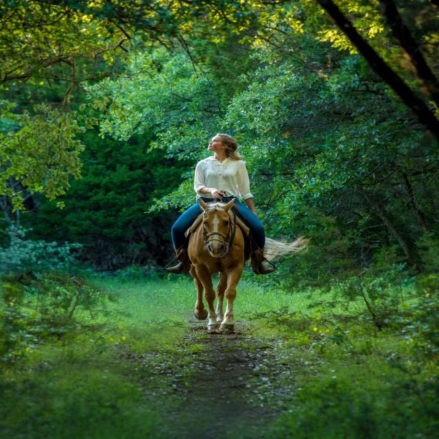 Waco: Horseback Riding Tour with Cowboy Guide - Who Will Love This Tour?