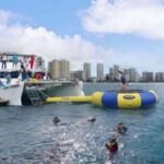 Waikiki: 5-in-1 Turtle Snorkeling Trip with Transfer - Who Will Love This Tour
