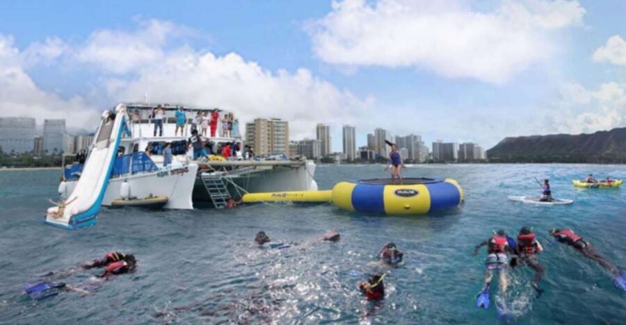 Waikiki: 5-in-1 Turtle Snorkeling Trip with Transfer - Who Will Love This Tour