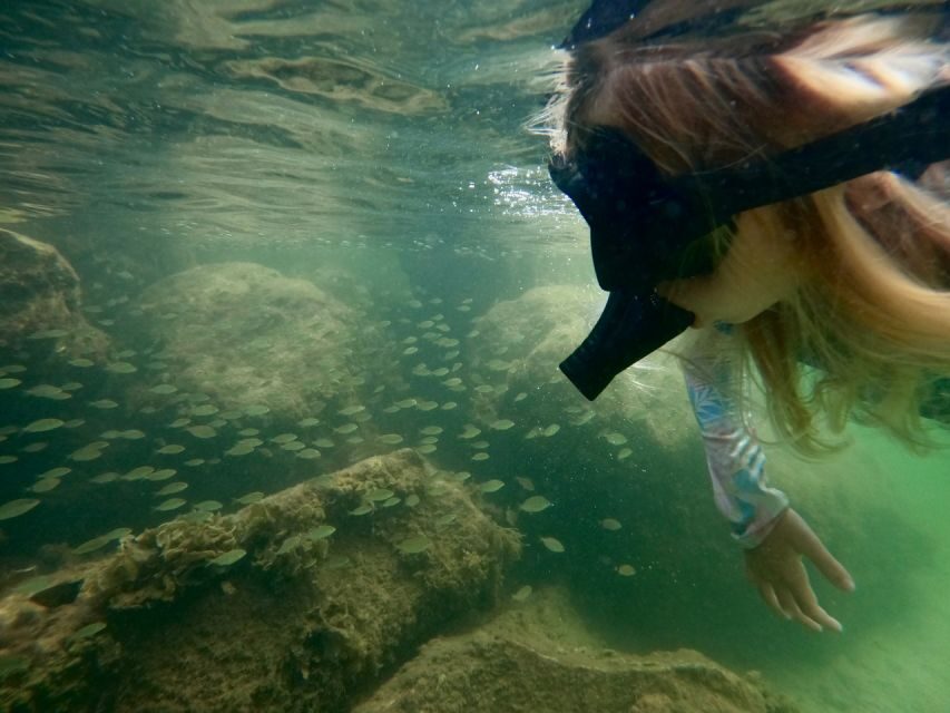 Waikiki: Honolulu Beginner Snorkeling Tour with Videos - Why This Tour Works for Travelers