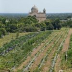 Walk and Aperitif in the Secret Gardens of Ostuni - A Scenic Ending with Tasting and Views
