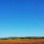 Walk in the Cork Forest Experience Pack - Why This Experience Fits Different Travelers