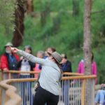 Walk with Wildlife: Guided Tour in Great Ocean Road - Key Points