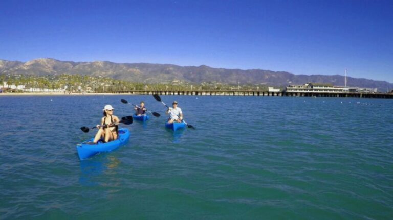 West Beach: Kayak Rental - Wildlife and Scenic Highlights