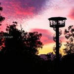 West Coast Tree Top Walk Experience - The Zipline Option