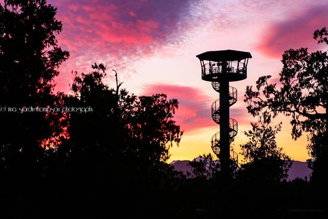 West Coast Tree Top Walk Experience - The Zipline Option