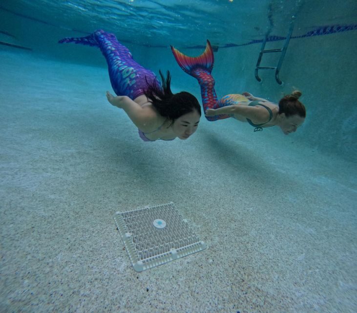 West Palm Beach: Become A Mermaid - Who Should Consider This Experience?
