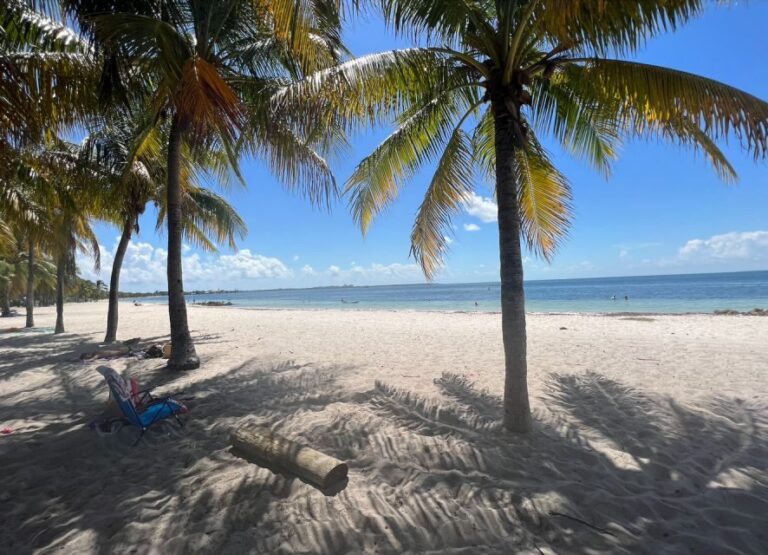 West Palm Beach: Beginner Scuba Diving Adventure with Videos - Why This Experience Is a Great Choice