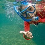 West Palm Beach: Beginner Snorkel Tour with Turtles & Videos - What to Expect on the Tour