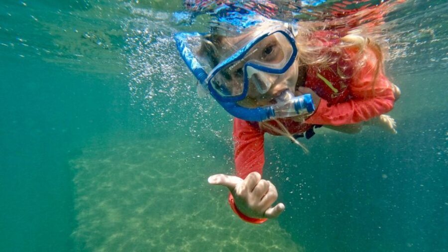 West Palm Beach: Beginner Snorkel Tour with Turtles & Videos - What to Expect on the Tour