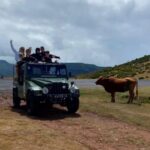 West Safari - The natural pool Porto Moniz Open Roof Jeeps - Who Should Consider This Tour?