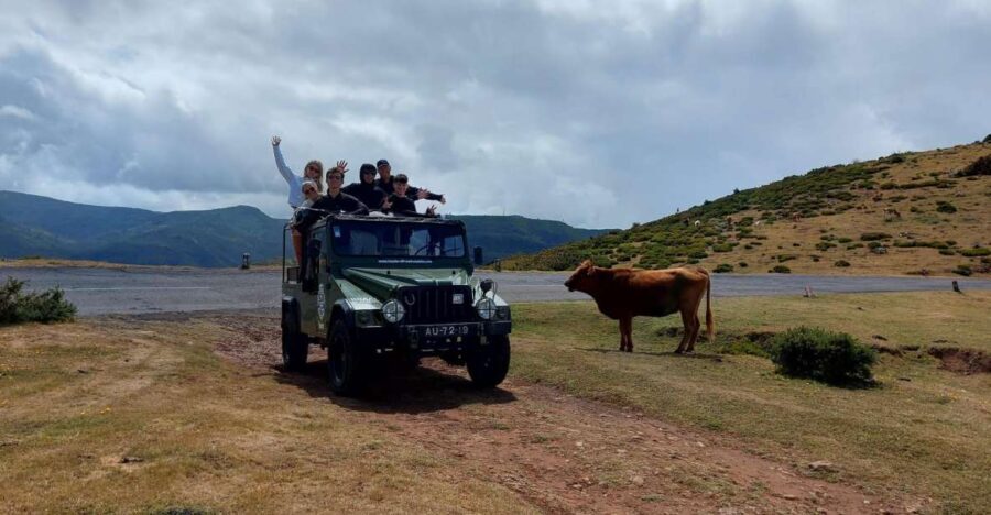 West Safari - The natural pool Porto Moniz Open Roof Jeeps - Who Should Consider This Tour?