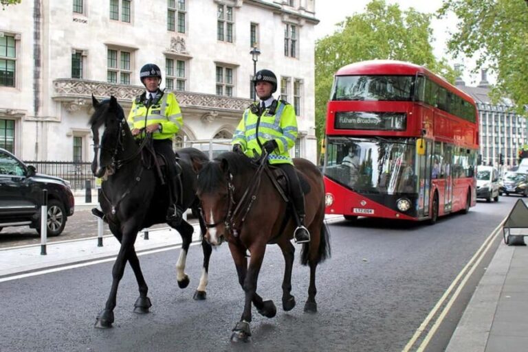 Westminster City Tour with Changing of the Guard - The Small Group Advantage