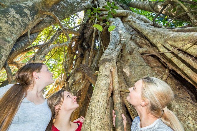 Whitsunday Segway Rainforest Discovery Tour - Who Will Love This Tour?