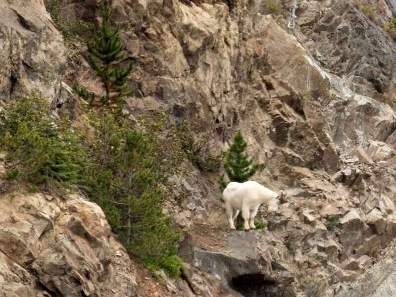 Wild Adventure Yukon + Summit Tour - The Value of the Tour