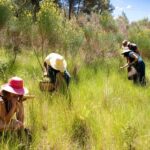 Wild experience: discover, cook & eat the local wild flora - An In-Depth Look at the Wild Experience in Catalonia