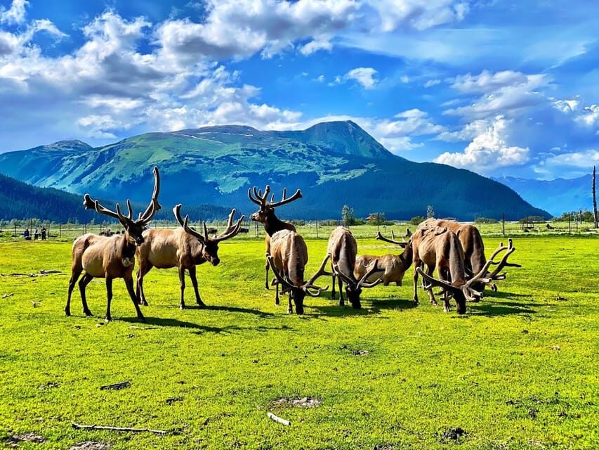 Wildlife Center with Lunch & Local Beer Sampling - Practical Details and Value
